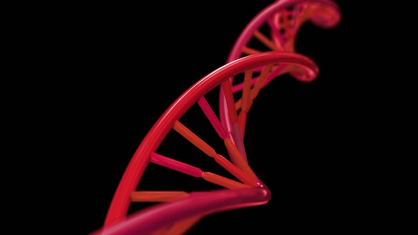 DNA Spinning RNA Double Helix Slow Science Electron Microscope Closeup ...