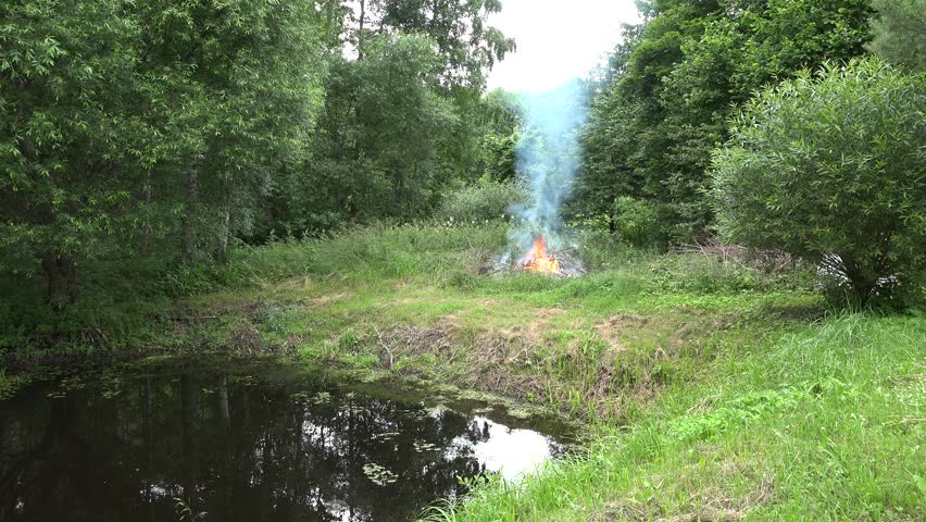 Branches And Garbage Burn In Fire Near Rural Pond In Summer. 4K Stock ...