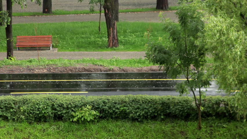 Rain in the Park with Stock Footage Video (100% Royalty-free) 2413430 ...