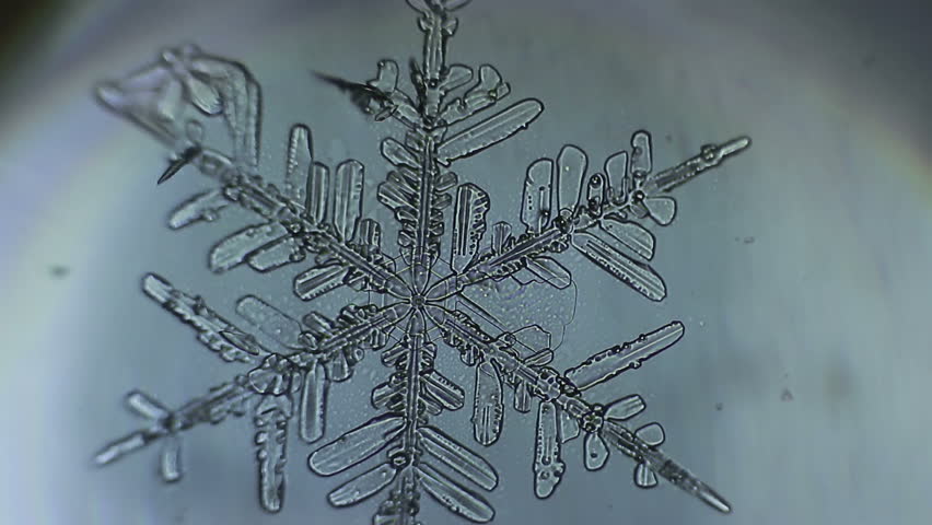 Snow Falling Stock Footage Video | Shutterstock