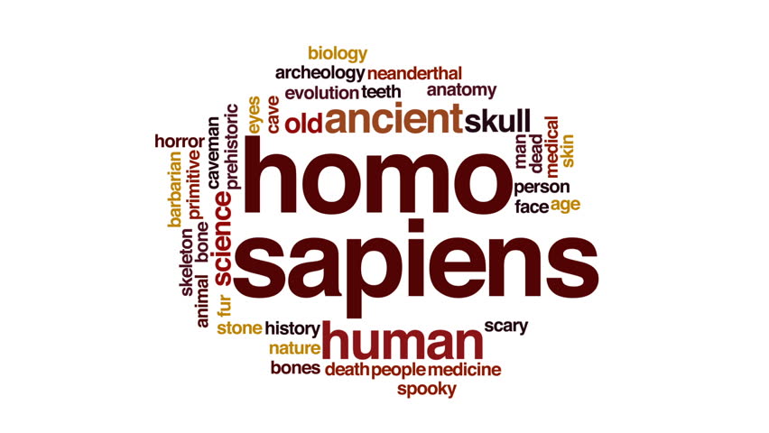 Homo Sapiens Animated Word Cloud, Stock Footage Video (100% Royalty ...