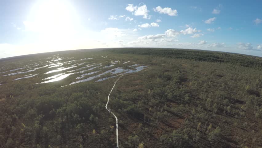 Swamp, Birds Eye View, Beautiful View From Above, Drone. Traveler ...