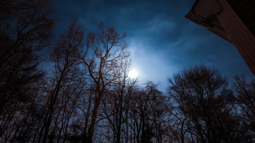 4K Full Moon At Night Behind Evergreen Tree Forest With Clouds Passing ...