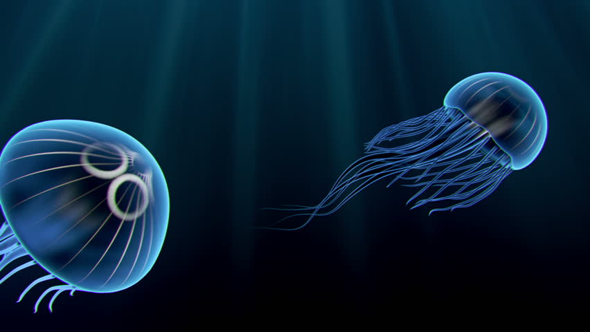 Animated Moving Jellyfish