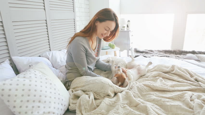 autoevaluate/autoeval-eval-conceptual_captions-unlabeled-ccbde0-1800162251 · Datasets at Hugging ...