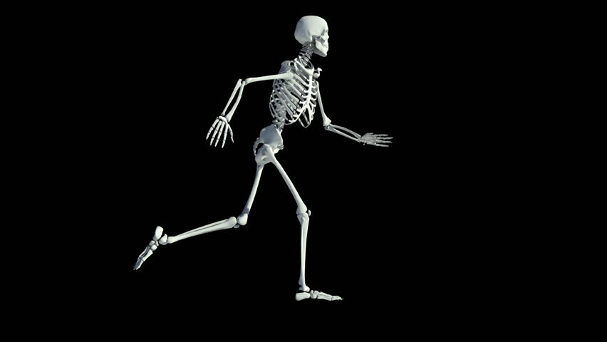 Skeletons Are Dancing ,loop, Animation, Alpha Channel 動画素材 28075474 ...