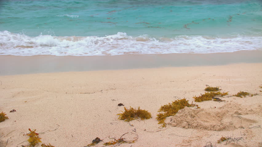 Generic Tropical Beach Scene Background Stock Footage Video (100% ...