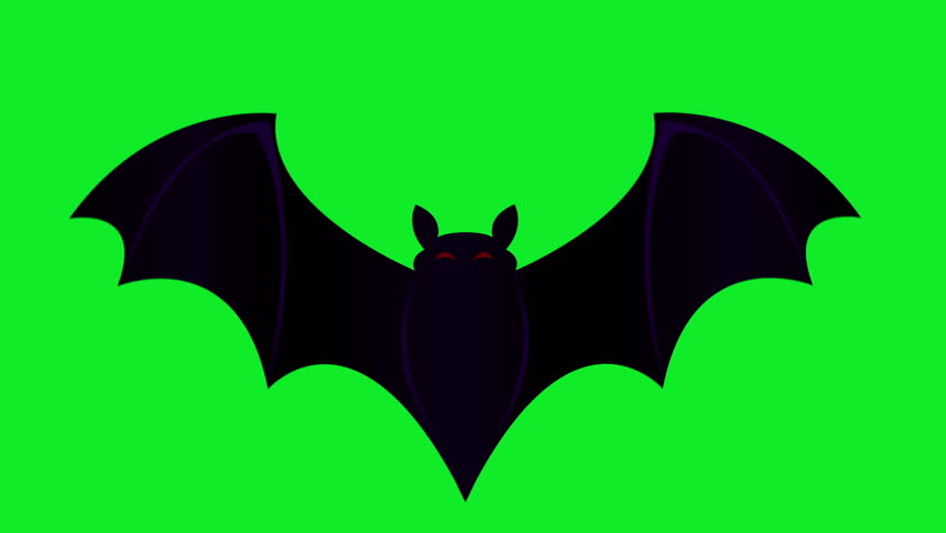 Animation of Bat Moving in Stock Footage Video (100% Royalty-free ...