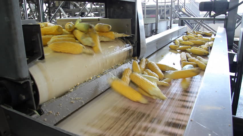 Corn Processing Factory Stock Footage Video 2735189 | Shutterstock