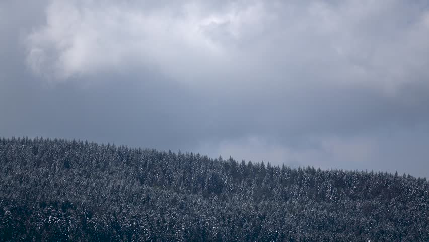 Snowing Snowflakes Glorious Mountain Forest Landscape Clouds Vintage ...