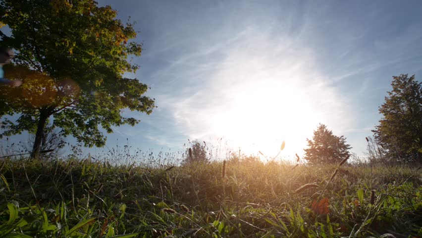 Road Runner Man Running In Park In The Morning Motion Track High ...