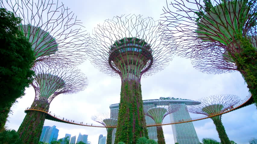 SINGAPORE - SEPTEMBER 5, 2015: Supertrees At Gardens By The Bay. The ...