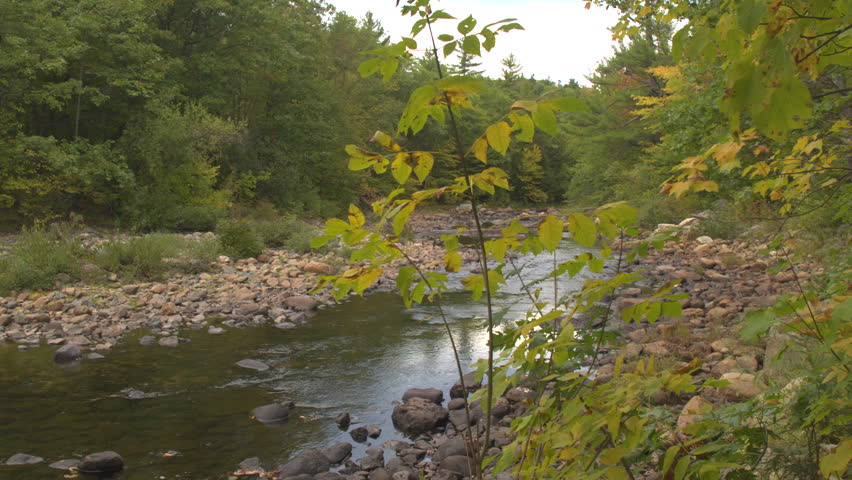 CLOSE UP DOF Smooth Oval Stones On Riverbank Of Beautiful Calm River ...