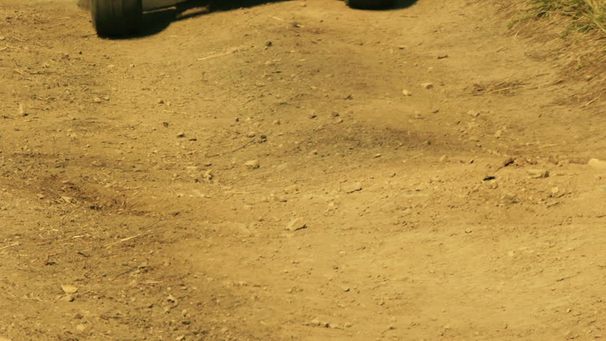 Veterinarian Looking At Coccidia (Isospora Felis) Oocyst, Feline ...