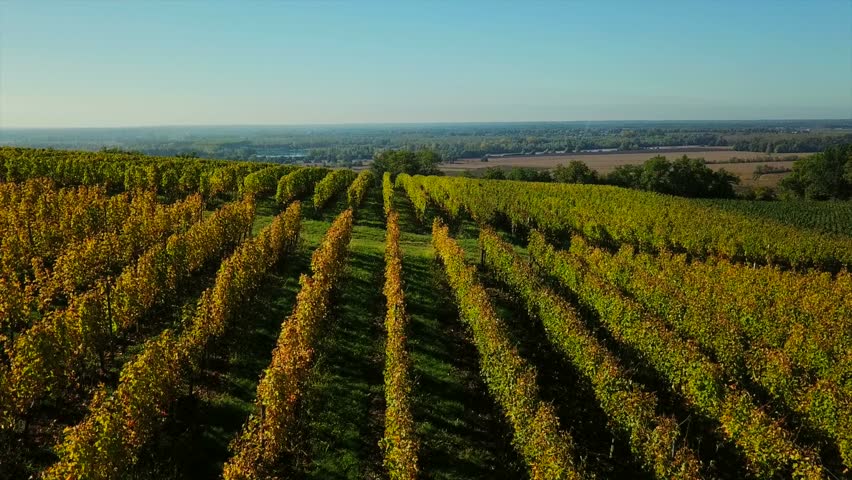 Aerial View Bordeaux Vineyard, Landscape Vineyard South West Of France ...