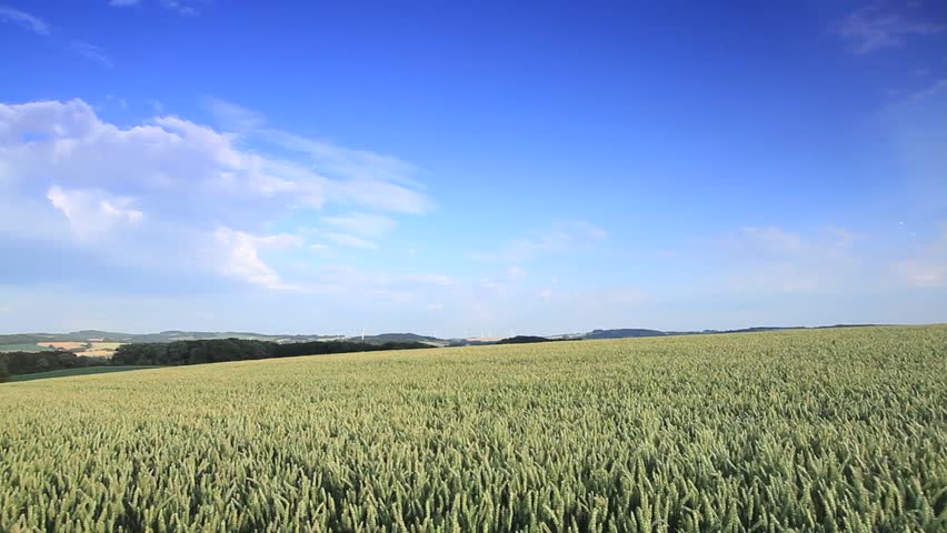 South Dakota Prairie Scenery Stock Footage Video 3176608 | Shutterstock