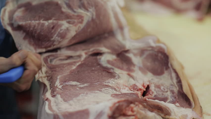 Maggots In Rotten Meat In A Can (NTSC / 29,97 Fps) Stock Footage Video ...