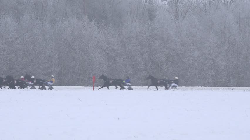 Horse Racing contestants in a race image - Free stock photo - Public ...