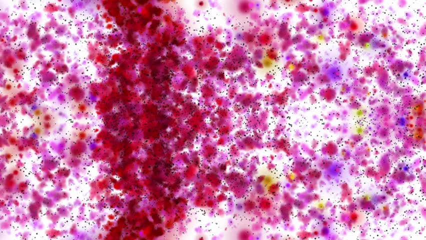 Fish Blood Cell Under A Microscope (Blood Smear Fish), Full HD Stock ...