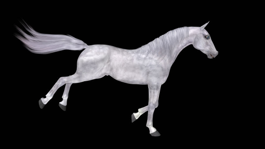 Cowboy on White Horse at Rodeo image - Free stock photo - Public Domain ...