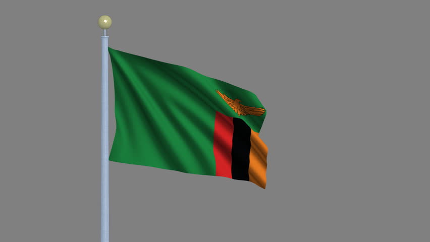Flag Of Zambia Stock Footage Video 2584517 | Shutterstock