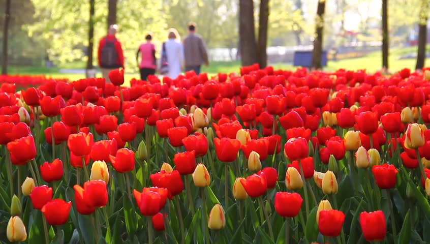 People Walking in Spring Park Stock Footage Video (100% Royalty-free ...