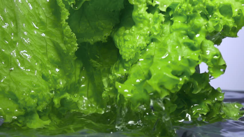 Fresh Lettuce Salad Falls Under Water With A Splash. Stock Footage ...