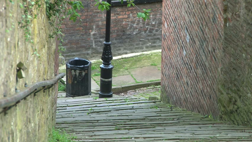 Large Flight of Steps. Stock Footage Video (100% Royalty-free) 3901580 ...