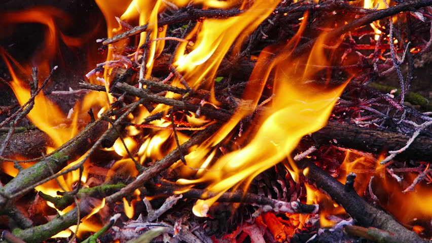 Hot Pepper In Fire Arms / Hot Pepper In Flames On A Black Background 스톡 ...