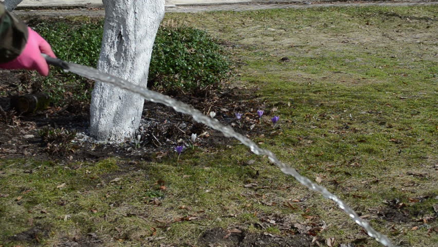 Garden Hose Stock Footage Video | Shutterstock