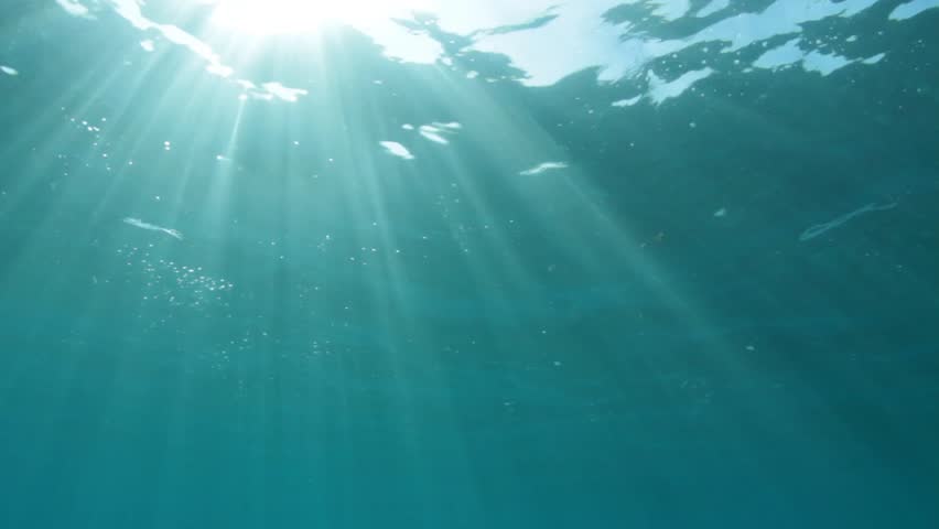 Sunlight Shimmers Filters Underwater Through Stock Footage Video (100% ...