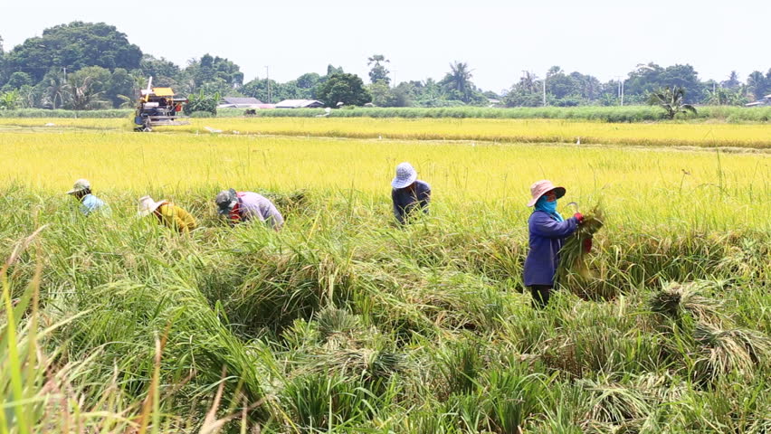 Samutprakarn, Thailand - October 2: Stock Footage Video (100% Royalty ...