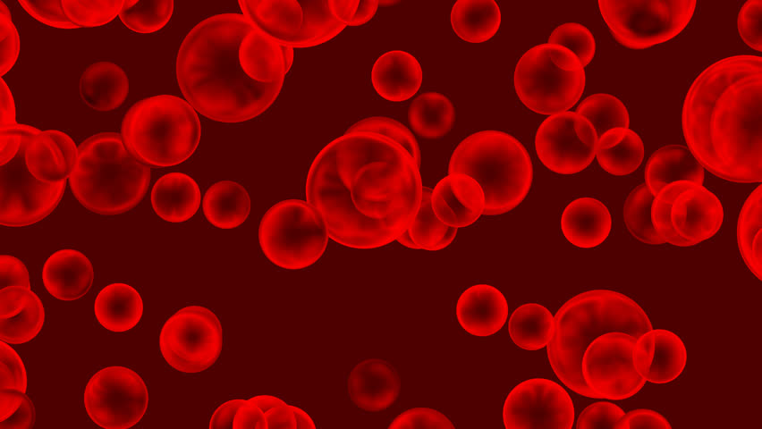 Abstract Blood Cells Stock Footage Video (100% Royalty-free) 486250 ...