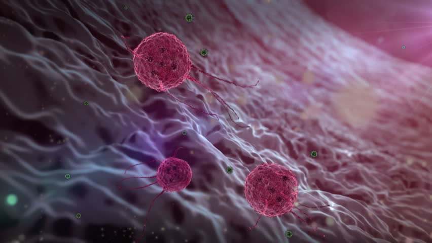 Group of Phagocytes, Fagocytosis, Phagocyte Stock Footage Video (100% ...