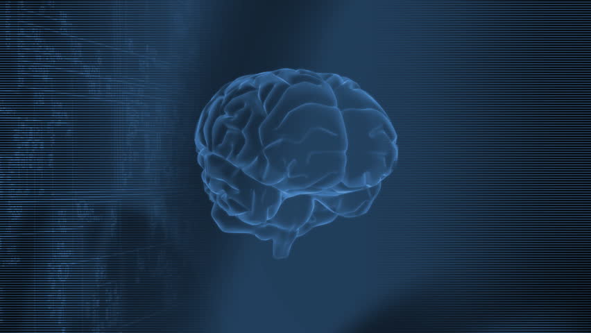 3D Rotating Brain On Software Processing Background. Perfect Loop ...