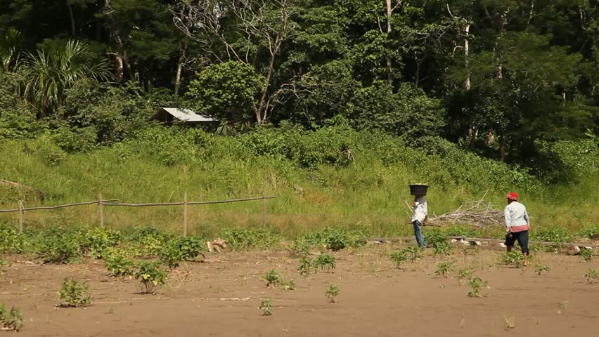 People at Seaside, Amazon River, Stock Footage Video (100% Royalty-free ...