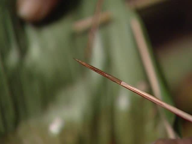 Punan Making Curare Poison. Cutting Tree Stockvideos & Filmmaterial ...