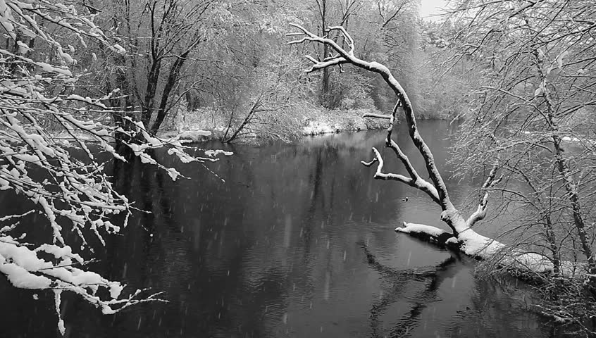 Winters Peaceful Snow Fall Stock Footage Video (100% Royalty-free ...