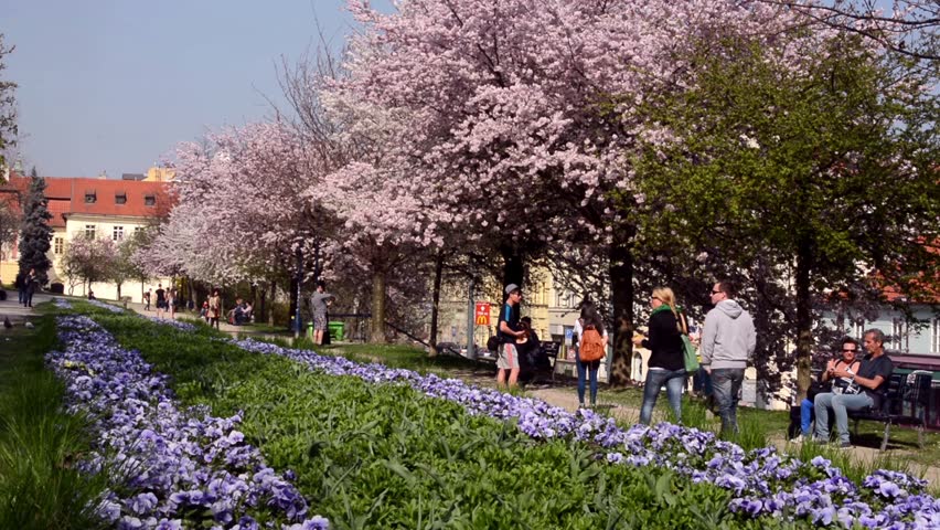 Prague, Czech Republic - April วิดีโอสต็อก (ปลอดค่าลิขสิทธิ์ 100% ...