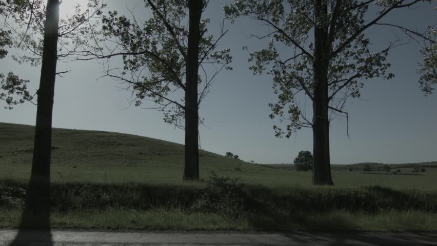 Trees and Hills Neutral Grade Stock Footage Video (100% Royalty-free ...