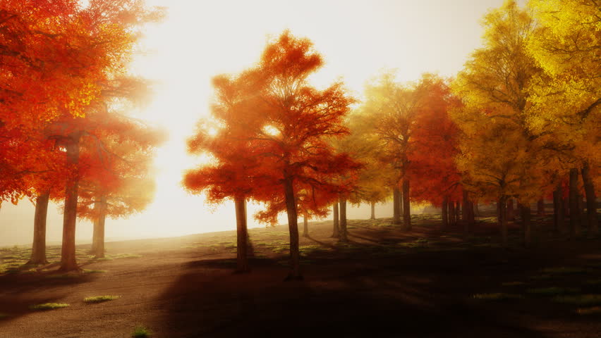 Bright Autumn Trees Sunshine Sunshine Autumn Park Red Trees Afternoon ...