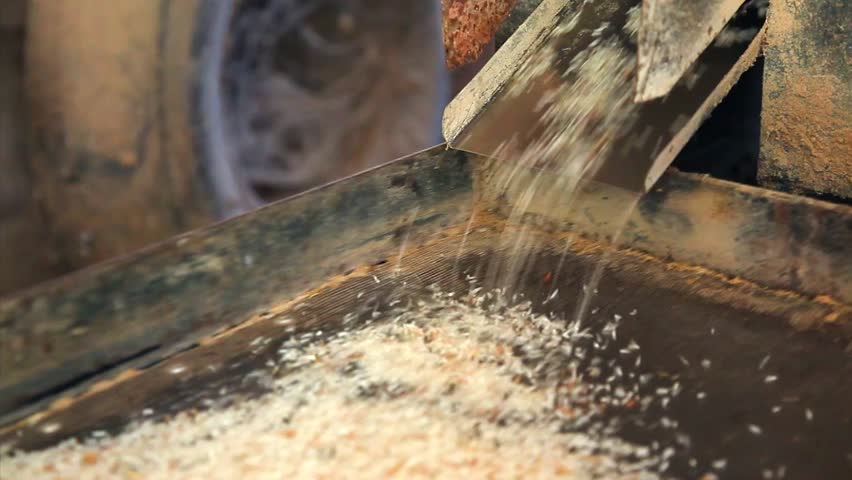 The Traditional Rice Milling Machine Stock Footage Video (100% Royalty ...