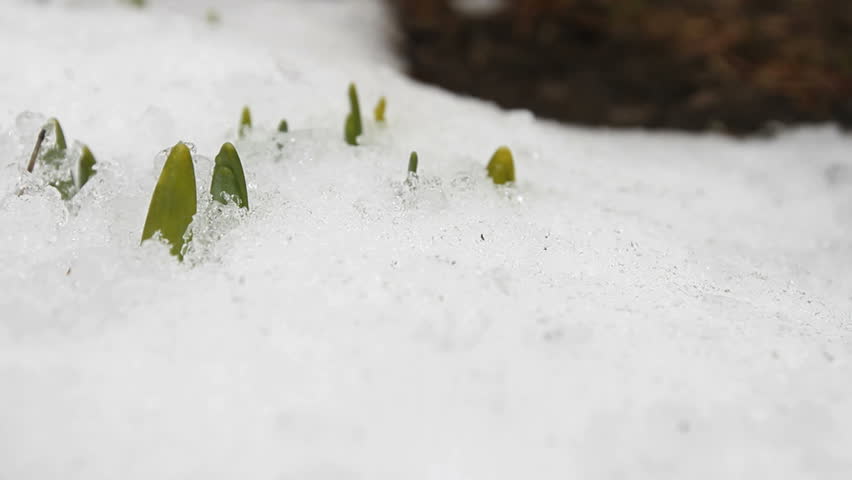 Spring Thaw Time Lapse Stock Footage Video (100% Royalty-free) 678970 ...