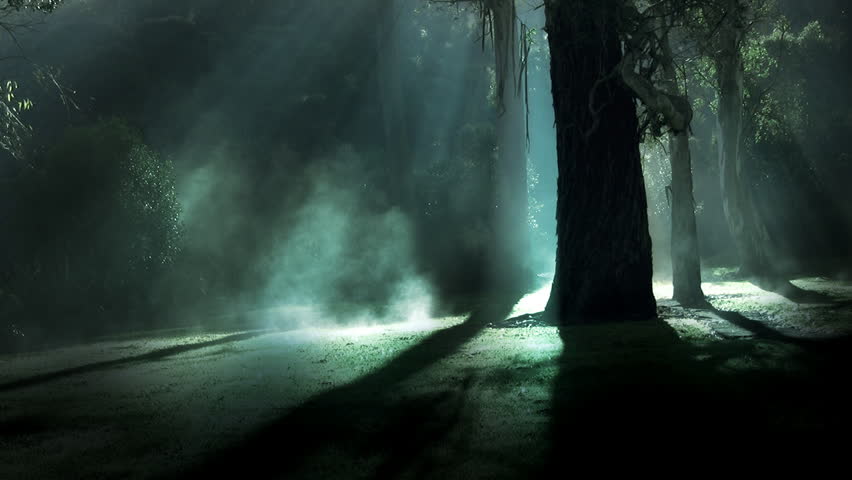 Dark Spooky Night Time Forest In The Moonlight. Mist Rises From Frosty ...