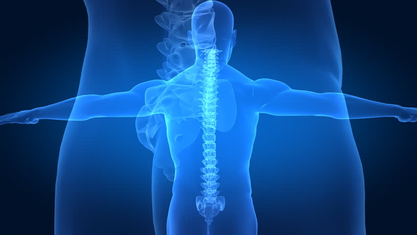 Stock Video Clip of Correct posture concept with x-ray spine | Shutterstock