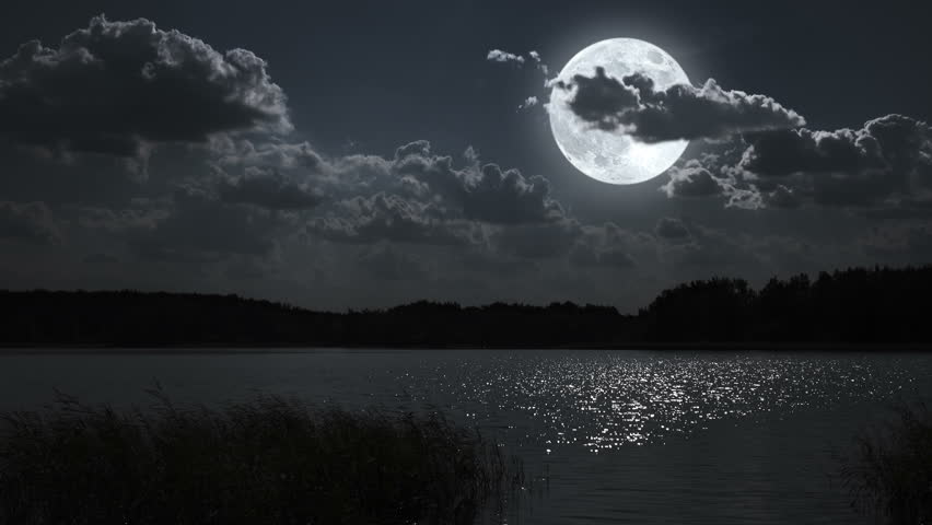 Nature Full Moon Night Landscape With Forest Lake. Stock Footage Video ...