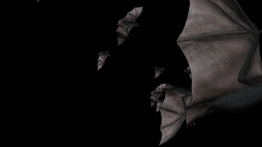 Bat Swarm - Side Flying Stock Footage Video (100% Royalty-free) 7344850 ...