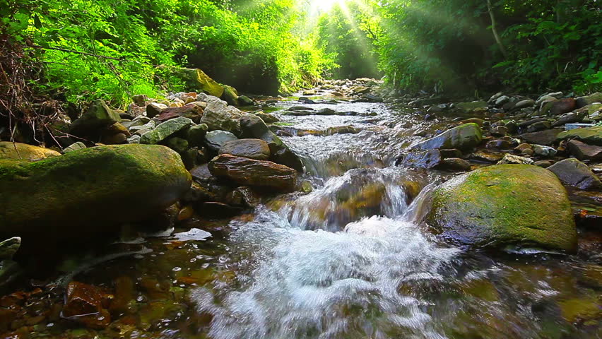 Small Mountain River/Landscape With Stream Flowing Between Rocks And ...
