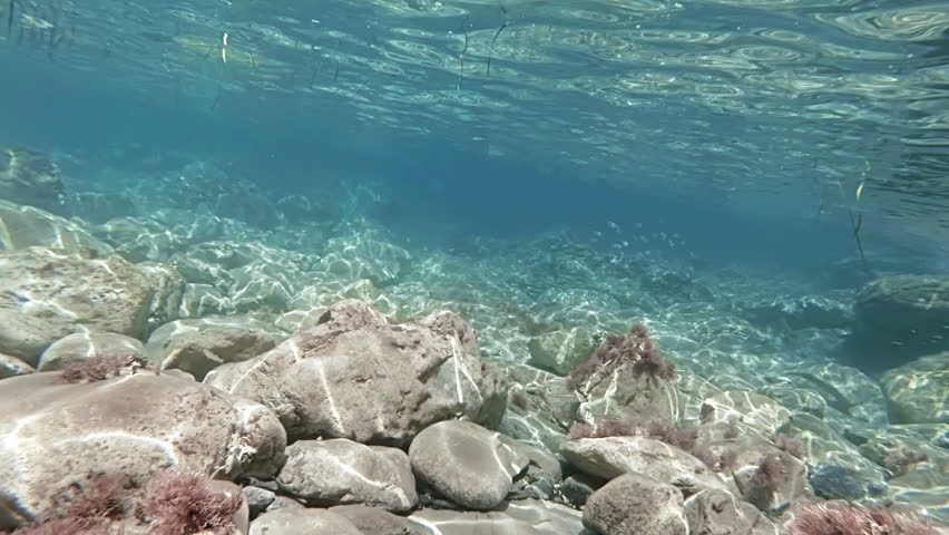 Stock Video Clip of Shallow lagoon with light refraction on rocks ...