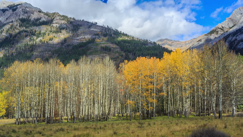Beautiful Rocky Mountains. Sharp Peaks. Rocky Mountain Slopes. Fir ...
